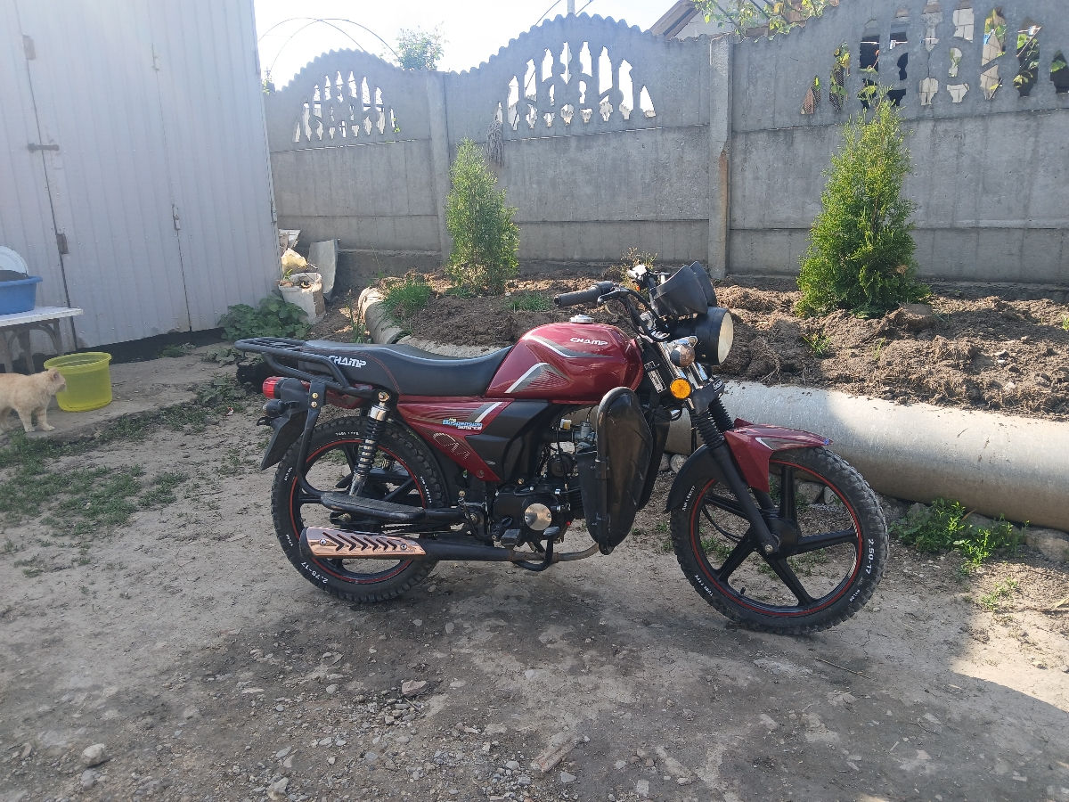 Alpha Moto Champ 110