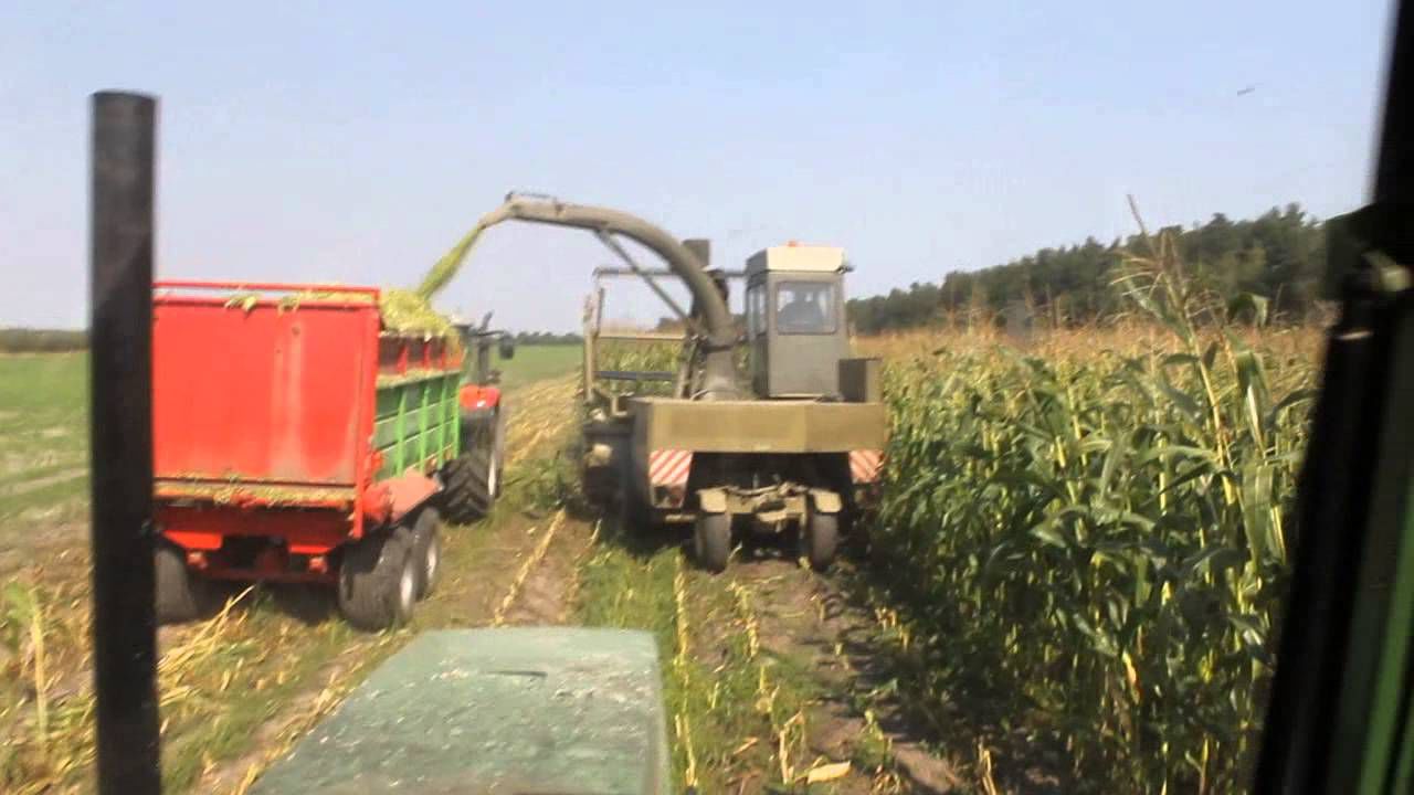 siloz силос
