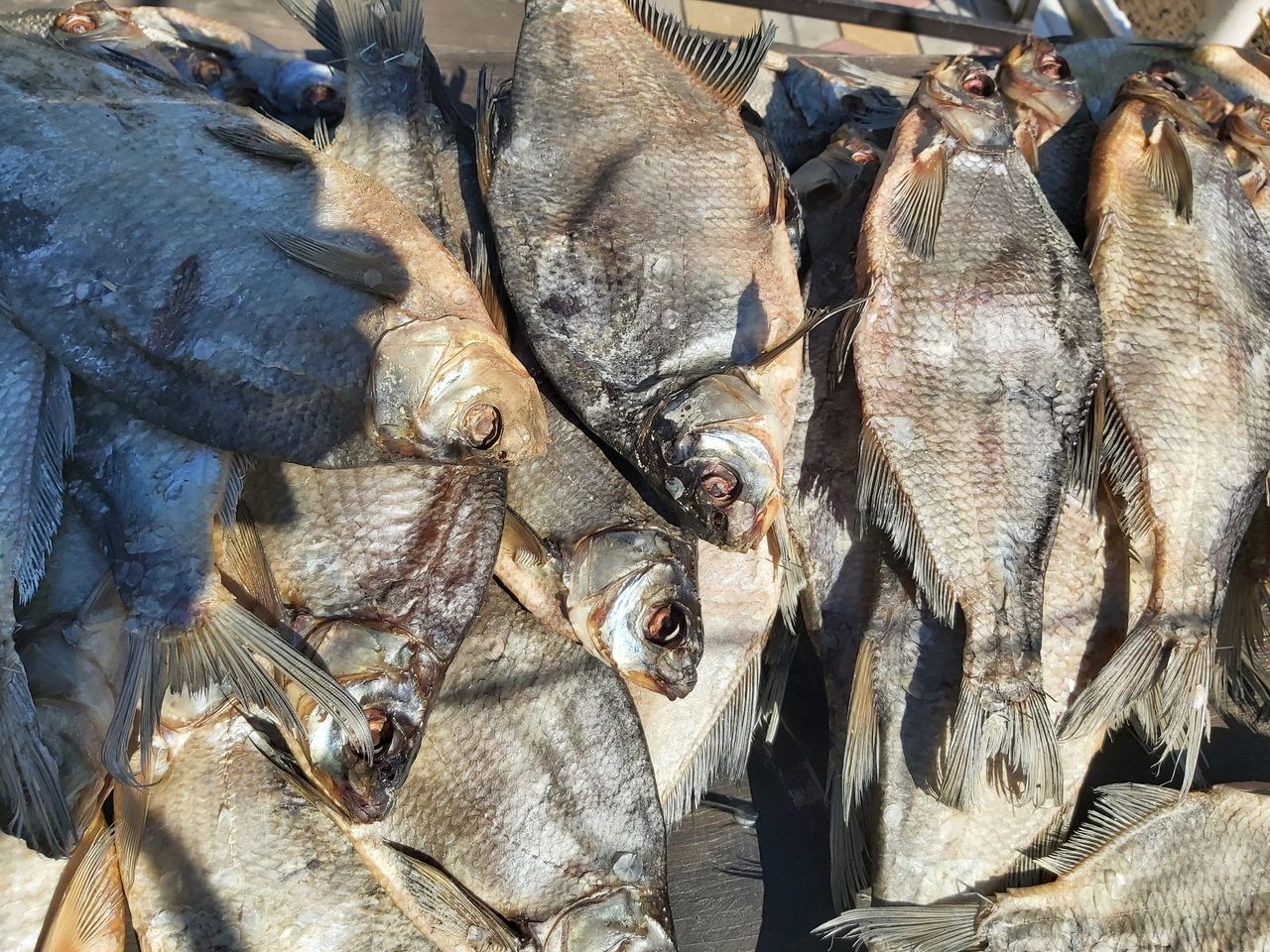 Peste uscat (nistru)