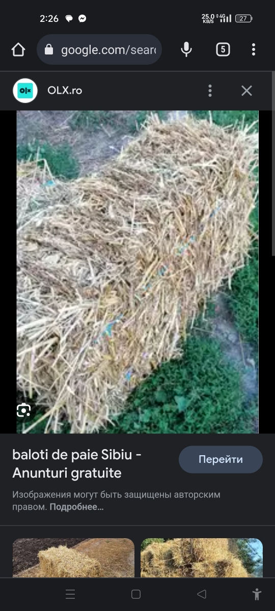 Cunpar baloti panusa de papusoi 10 lei balotu