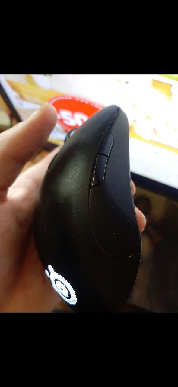 Steelseries Sensei [RAW]