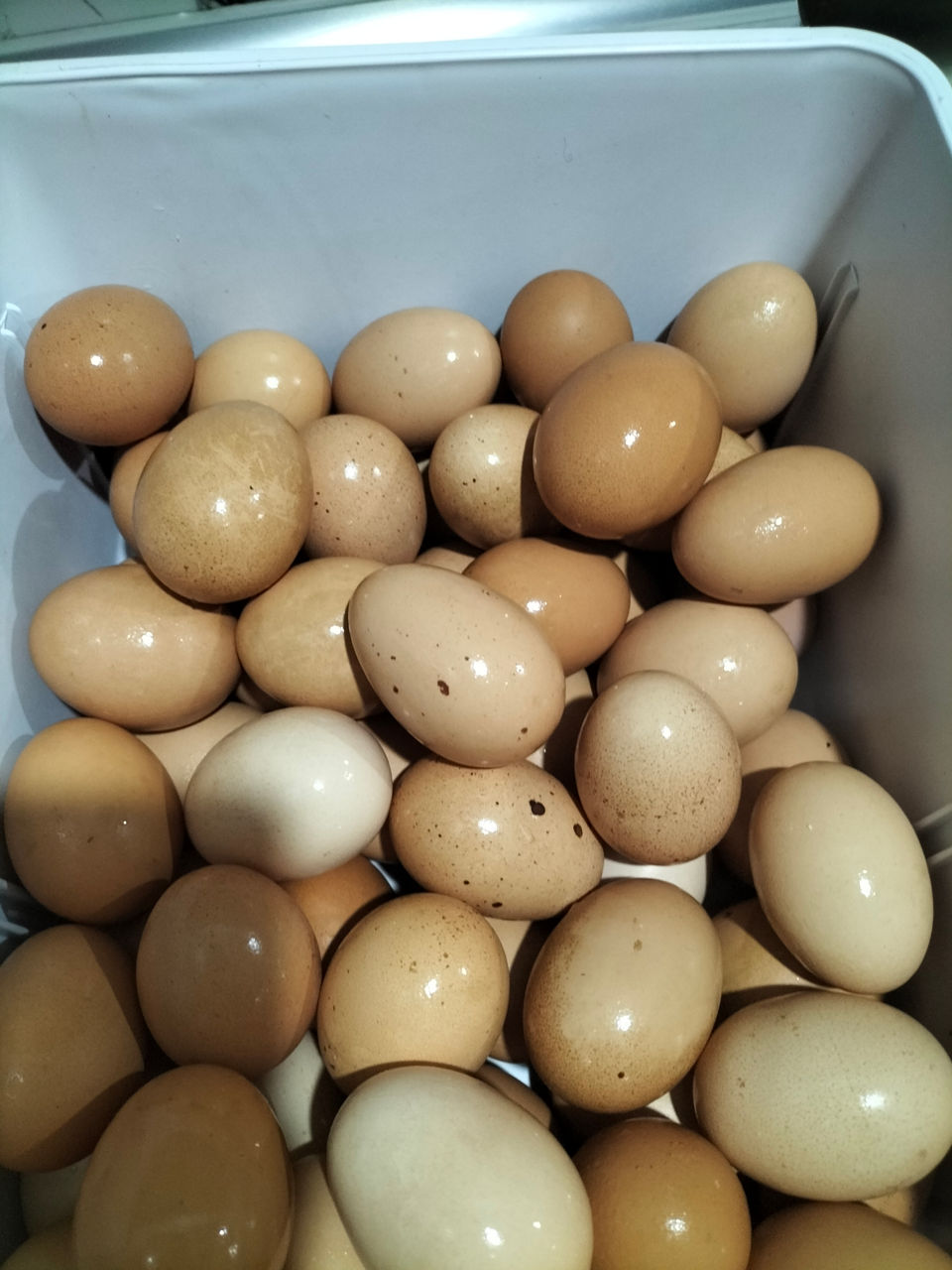 Vind oua de găină de casa