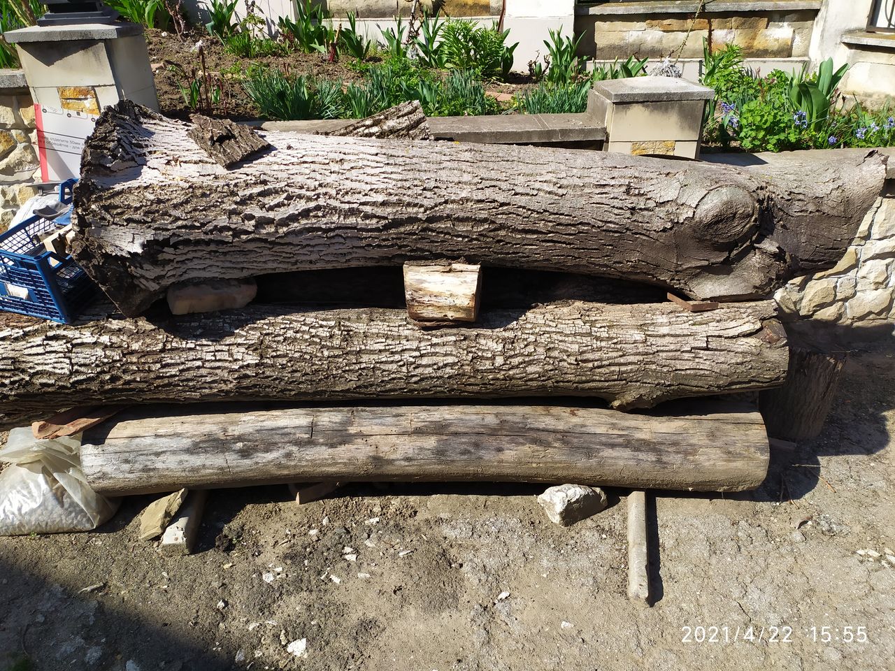 Бревна из ореха / Buturuga de nuc 4-5 cuburi