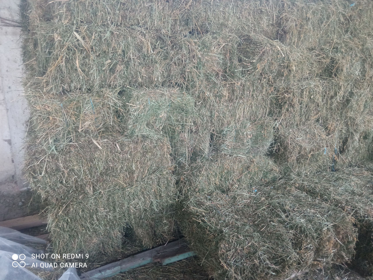 Vind baloti de lucerna