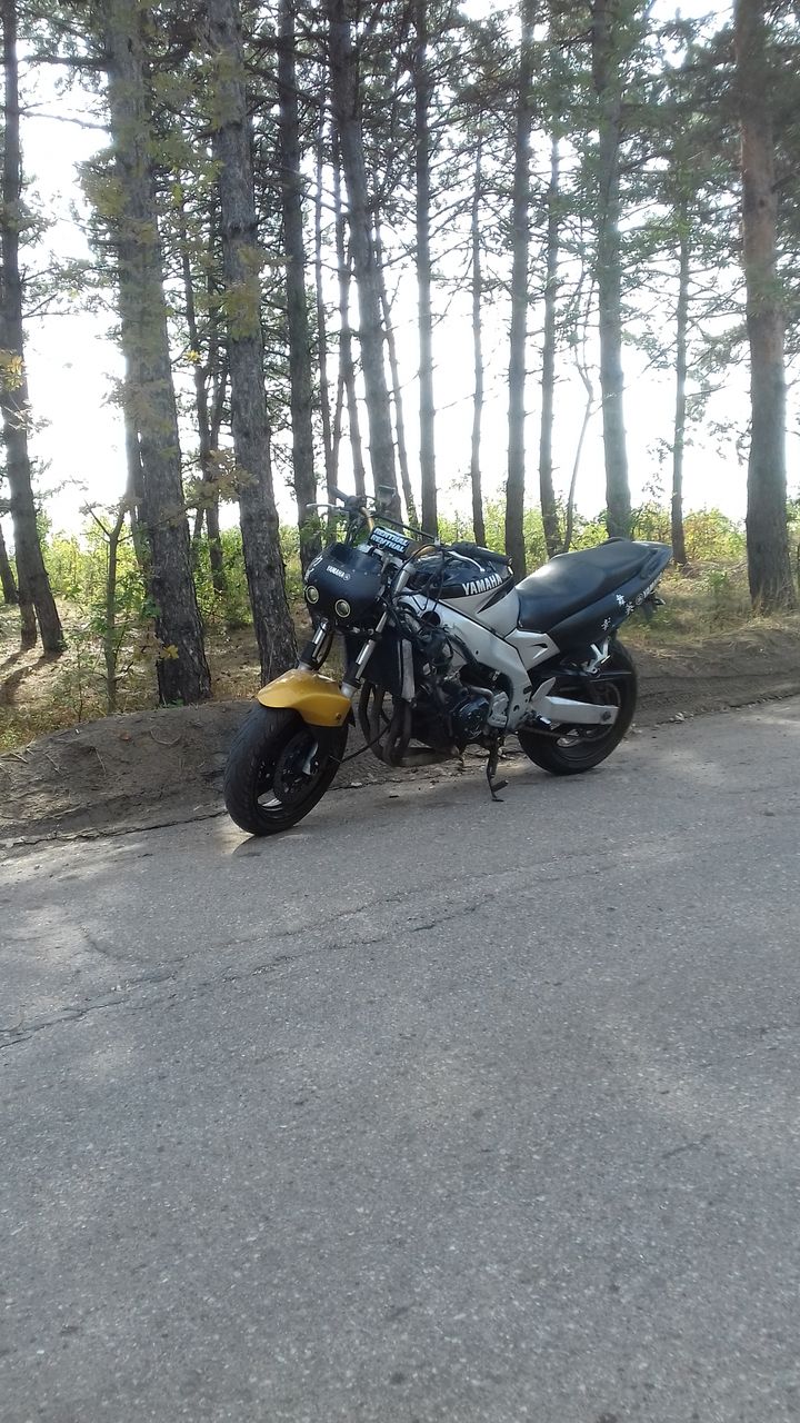 Yamaha Yzf r600 thundercat