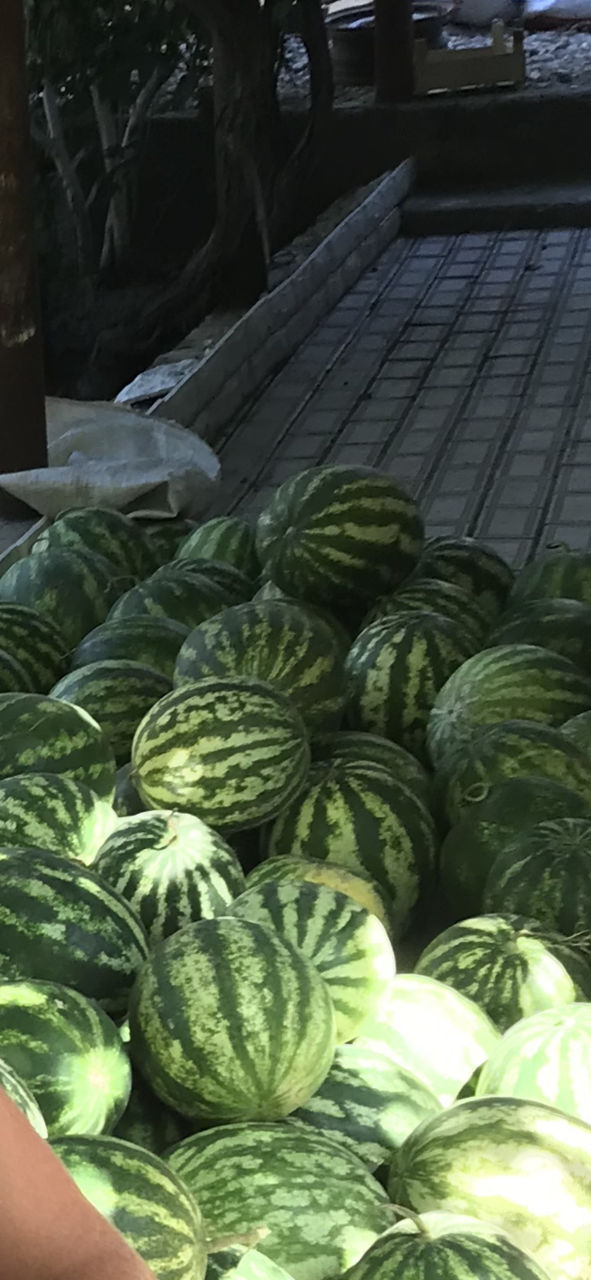 Vind harbuz marunt 2-4 kg ecologic