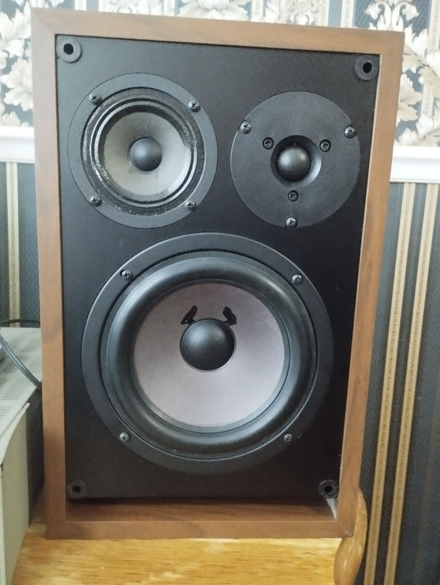 Arcus TS15 по цене динамиков