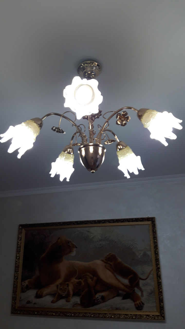 Lustra in stare foarte buna cu flori aurii