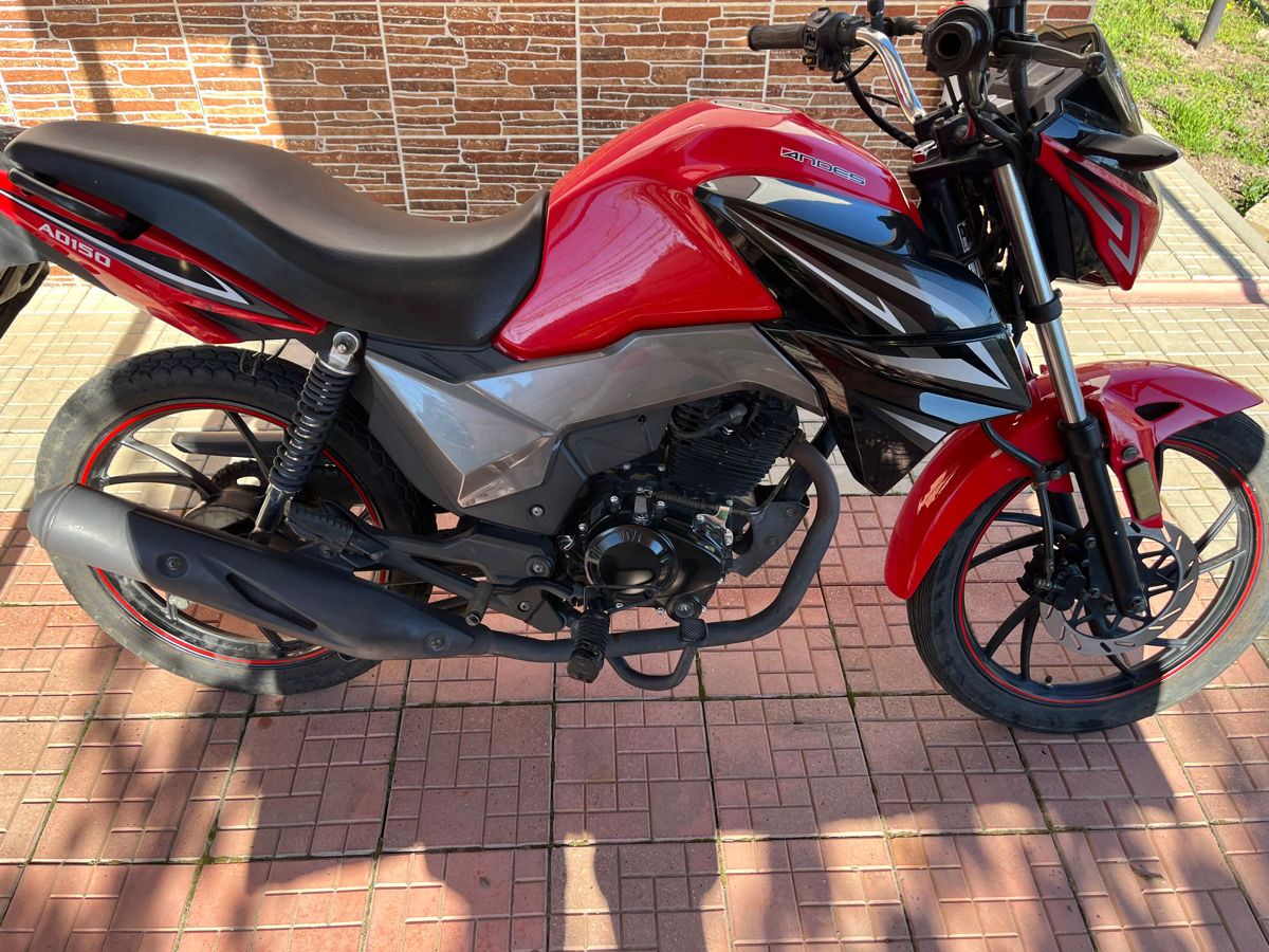 Alpha Moto Andes