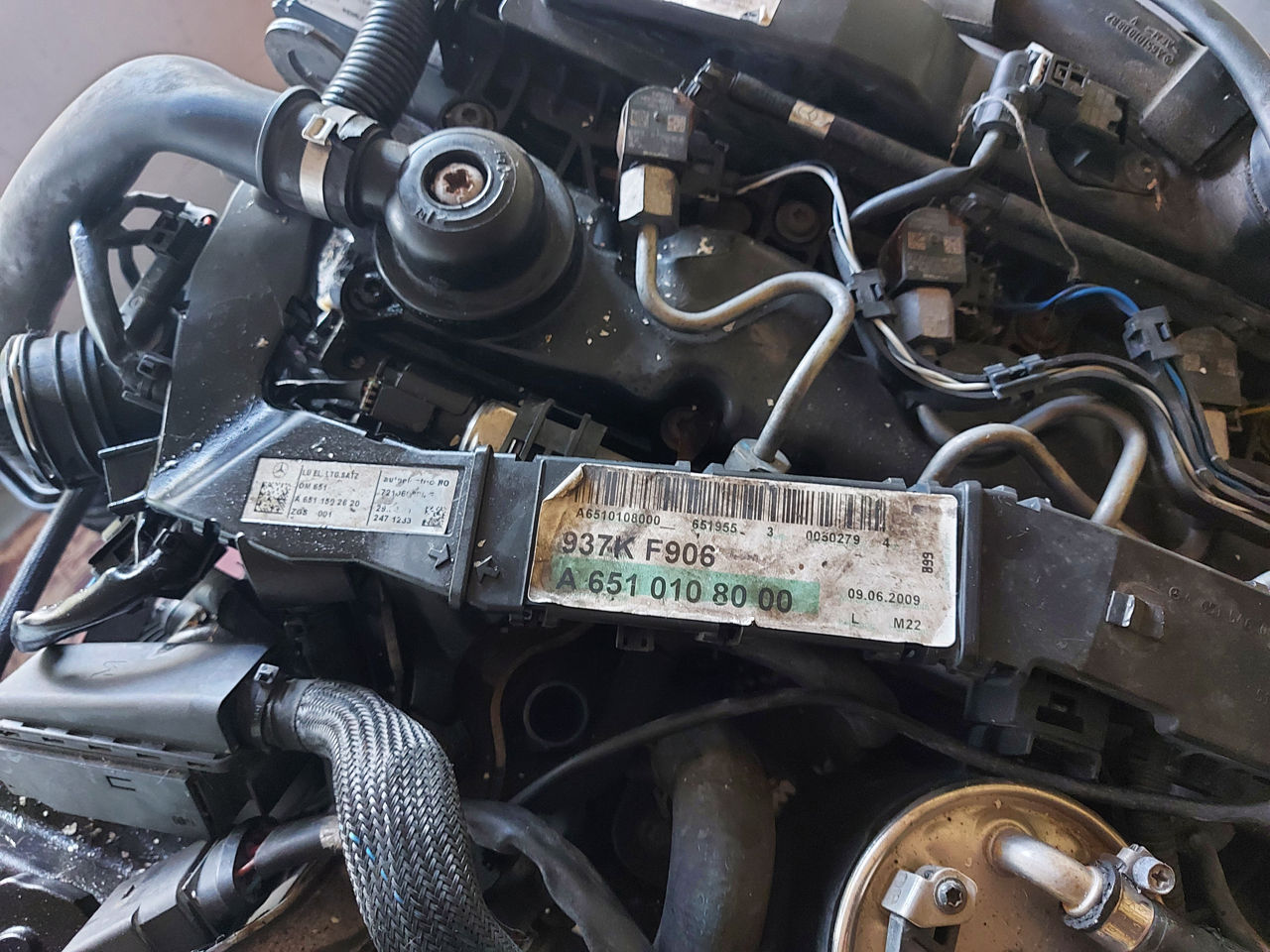 Delfin 651 motor 2200