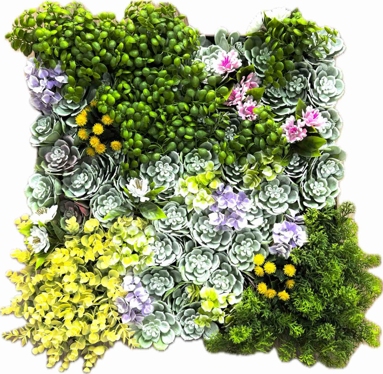 Transforma-ti spatiul verde cu iarba decorativa: estetica, durabilitate ...