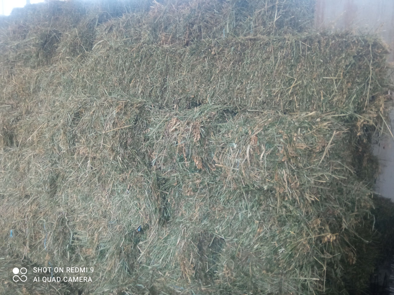 Vind baloti de lucerna