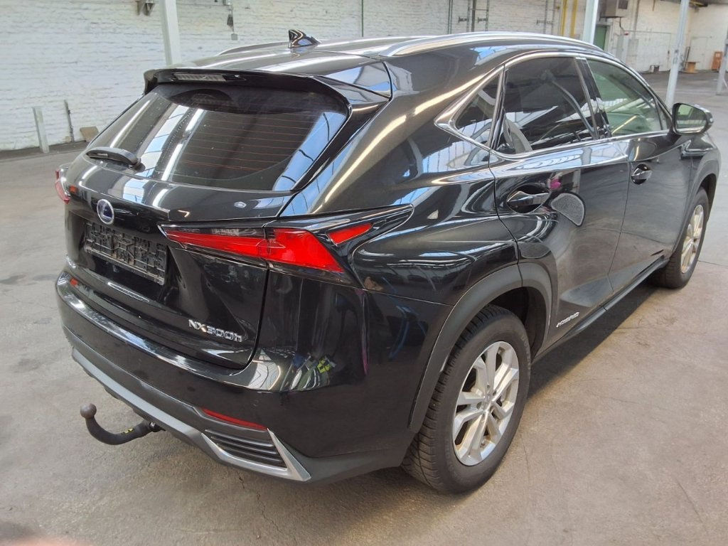 Lexus NX Series