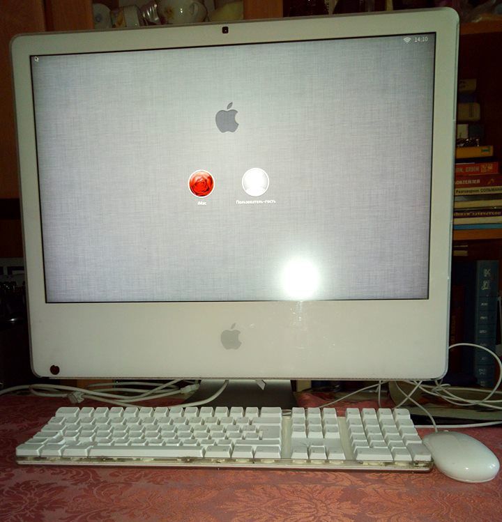 Apple iMac 6.1 24" Core 2 Duo 2.16GHz 2GB RAM 1Tb HDD MacOS X Lion 10.7 ...