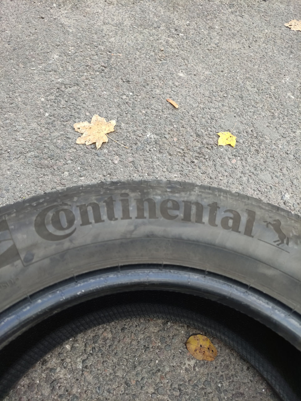 continental eco contact 6