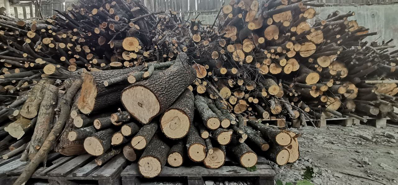 Lemne de foc Salcam Artar