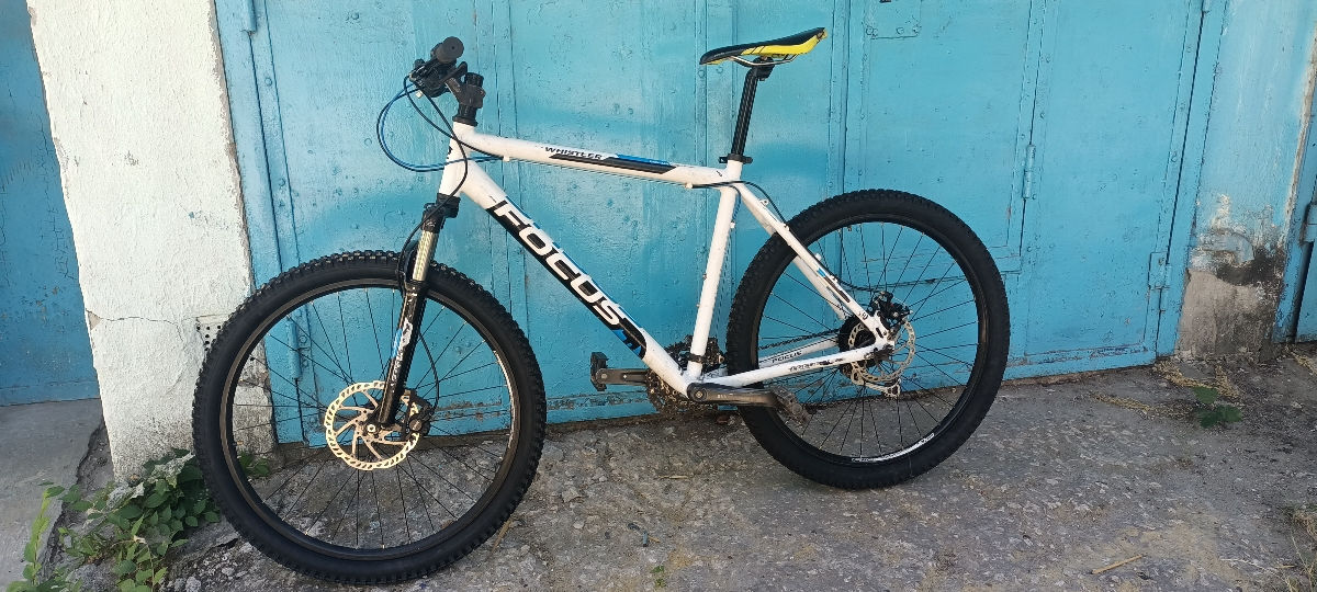 Focus mtb