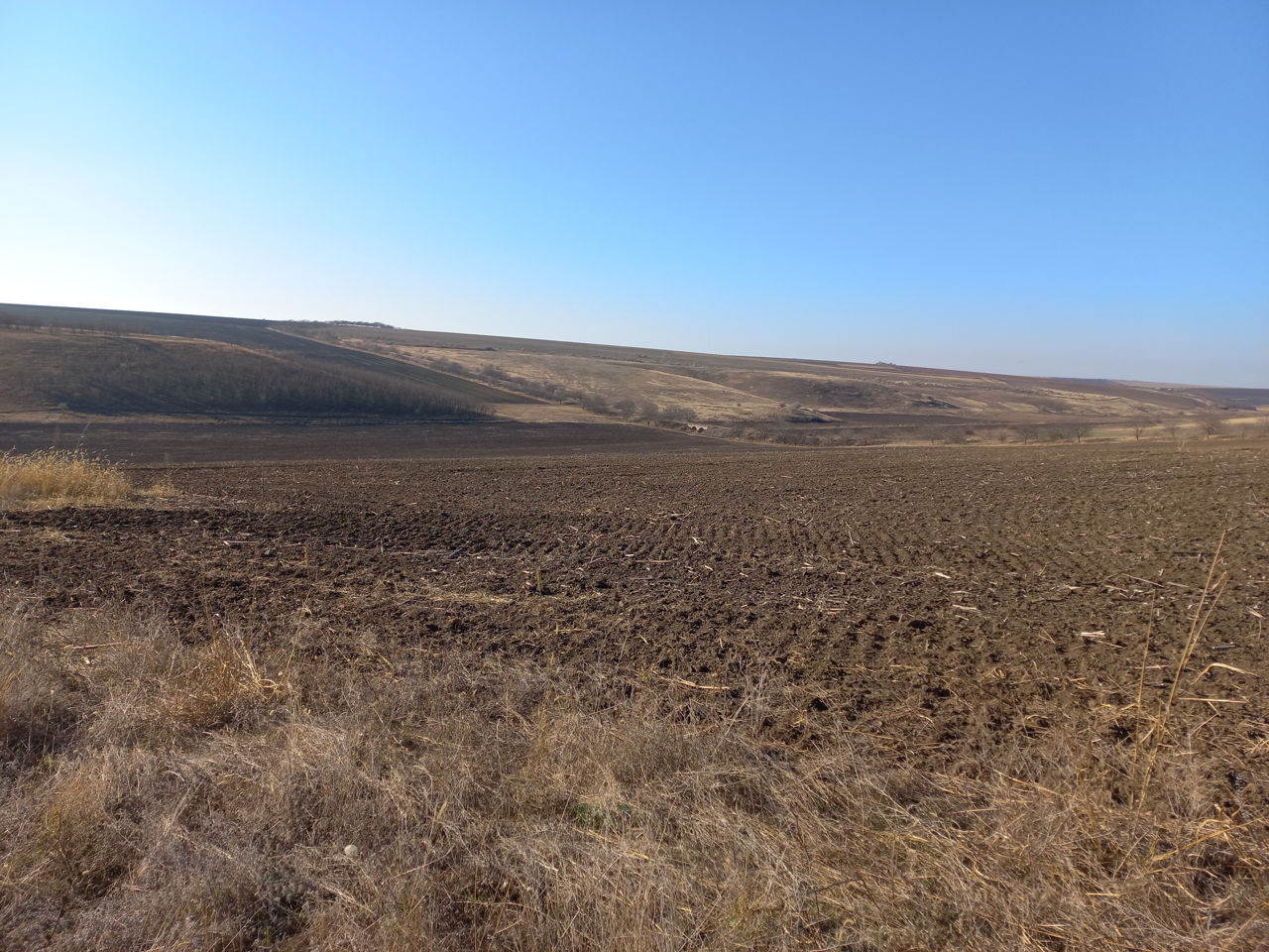 5,5 ha teren agricol consolidat!