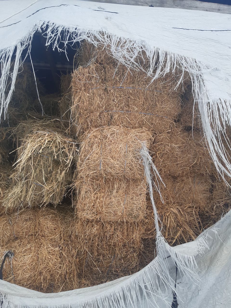 Vind baloti de lucerna