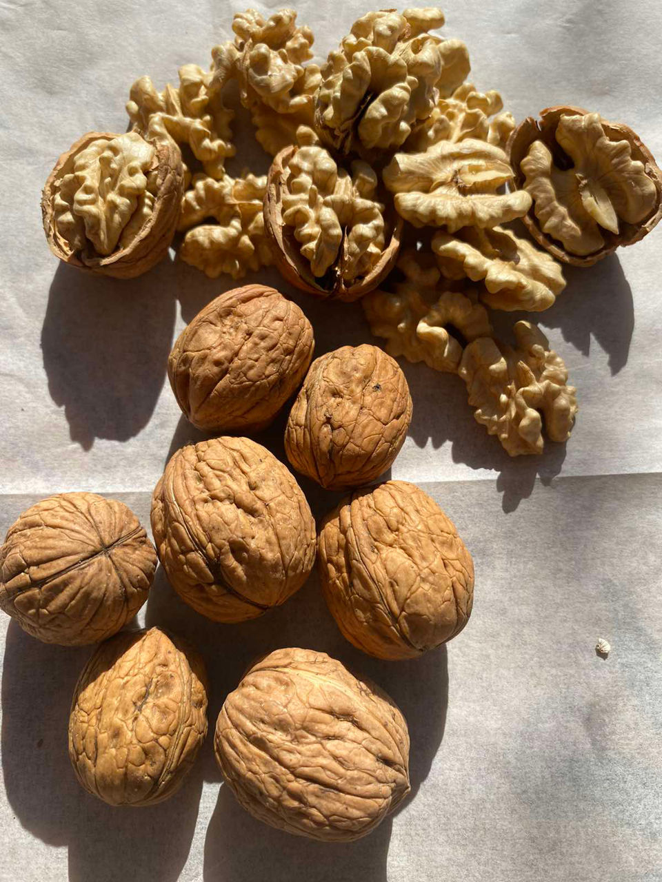 Vindem nuci de sort Chandler