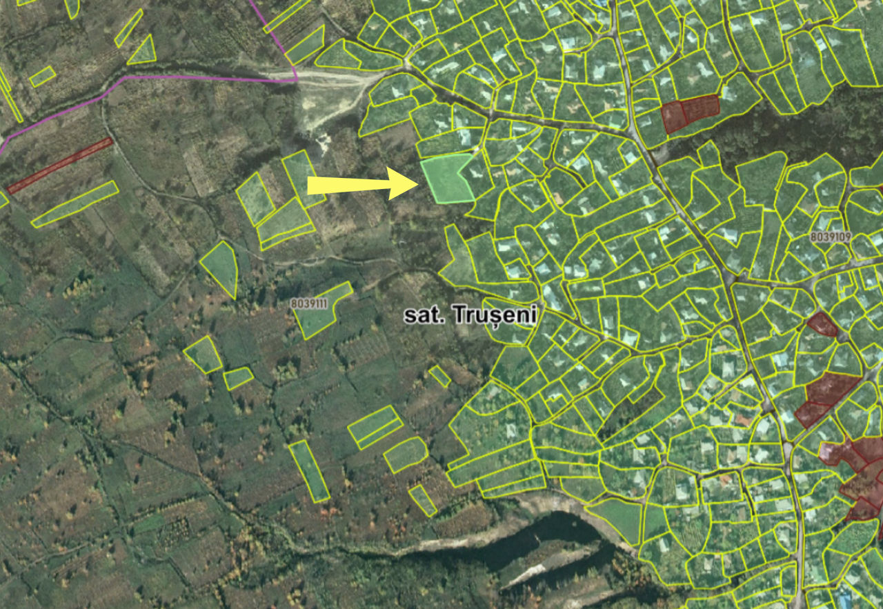 s. Trușeni, Dumbrava, mun. Chișinău