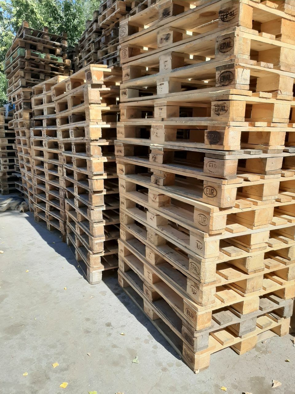 Paleti toate modelele