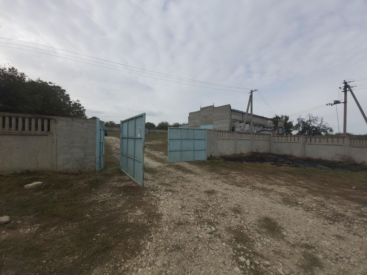 Vinarie Călărași satul Hirova