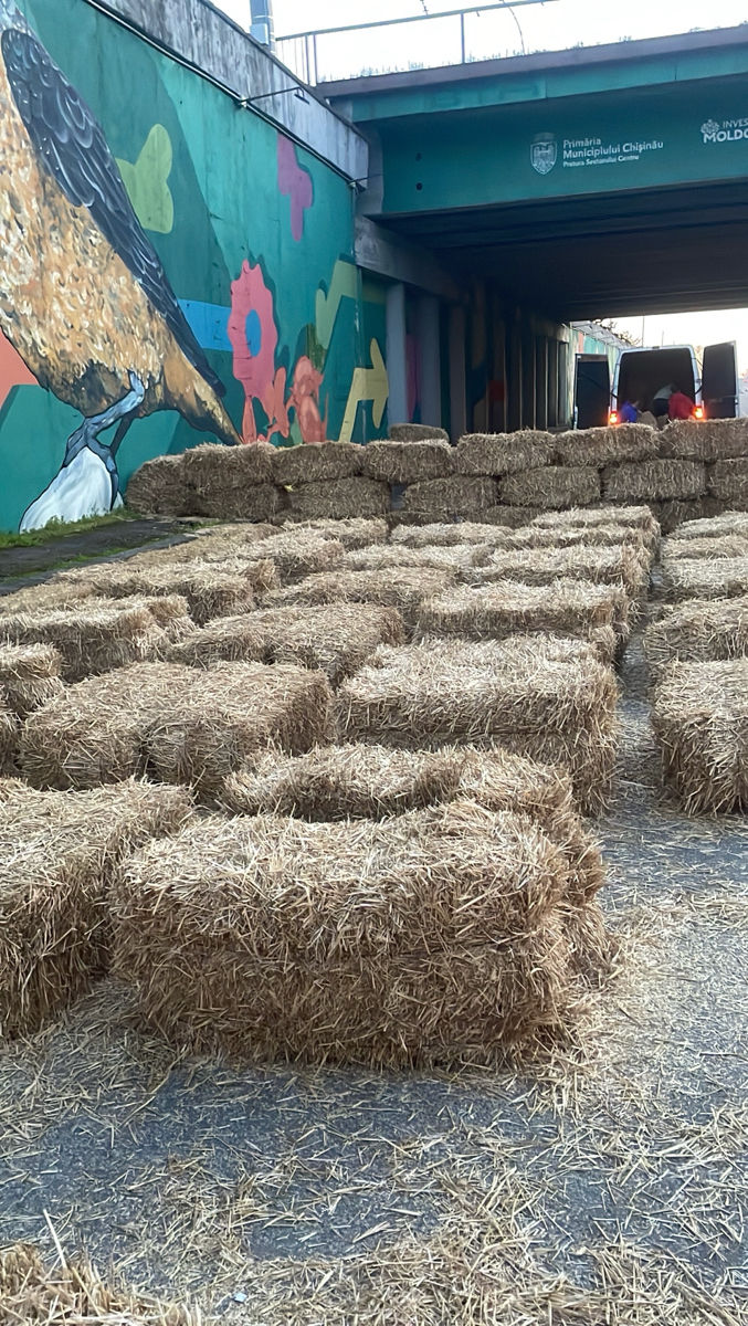 Baloti de paie 50 lei Vînzare/Chirie evenimente