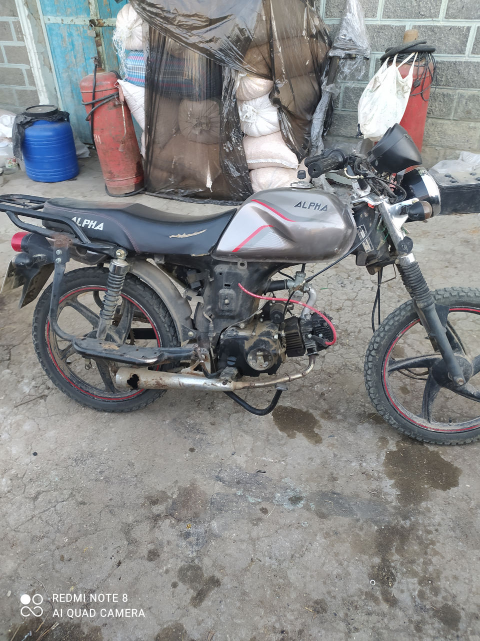 Alpha Moto