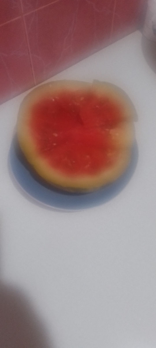 Vind harbuji murati 800 900 kg