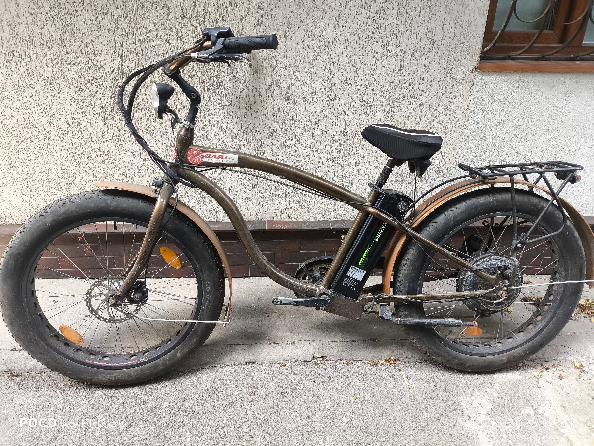 Fat Bike, Cruiser