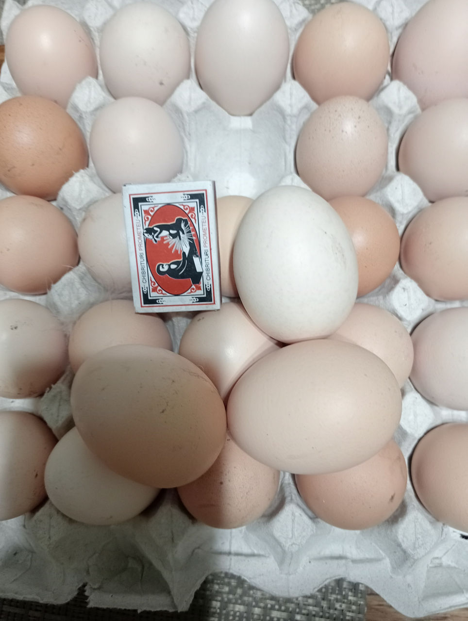 Oua de gaina pentru incubație