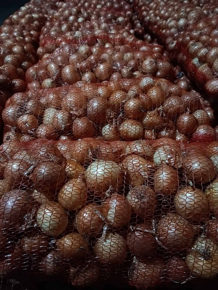 Ceapa