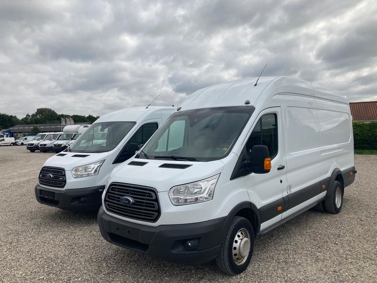 Ford Transit Jumbo Maxi