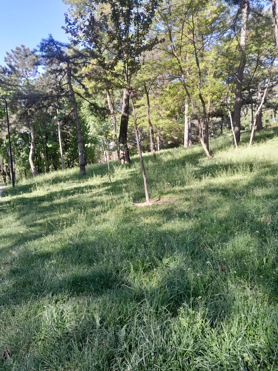 15 ari pentru constructie poltava Dubasari 5 km de la Cricova!!