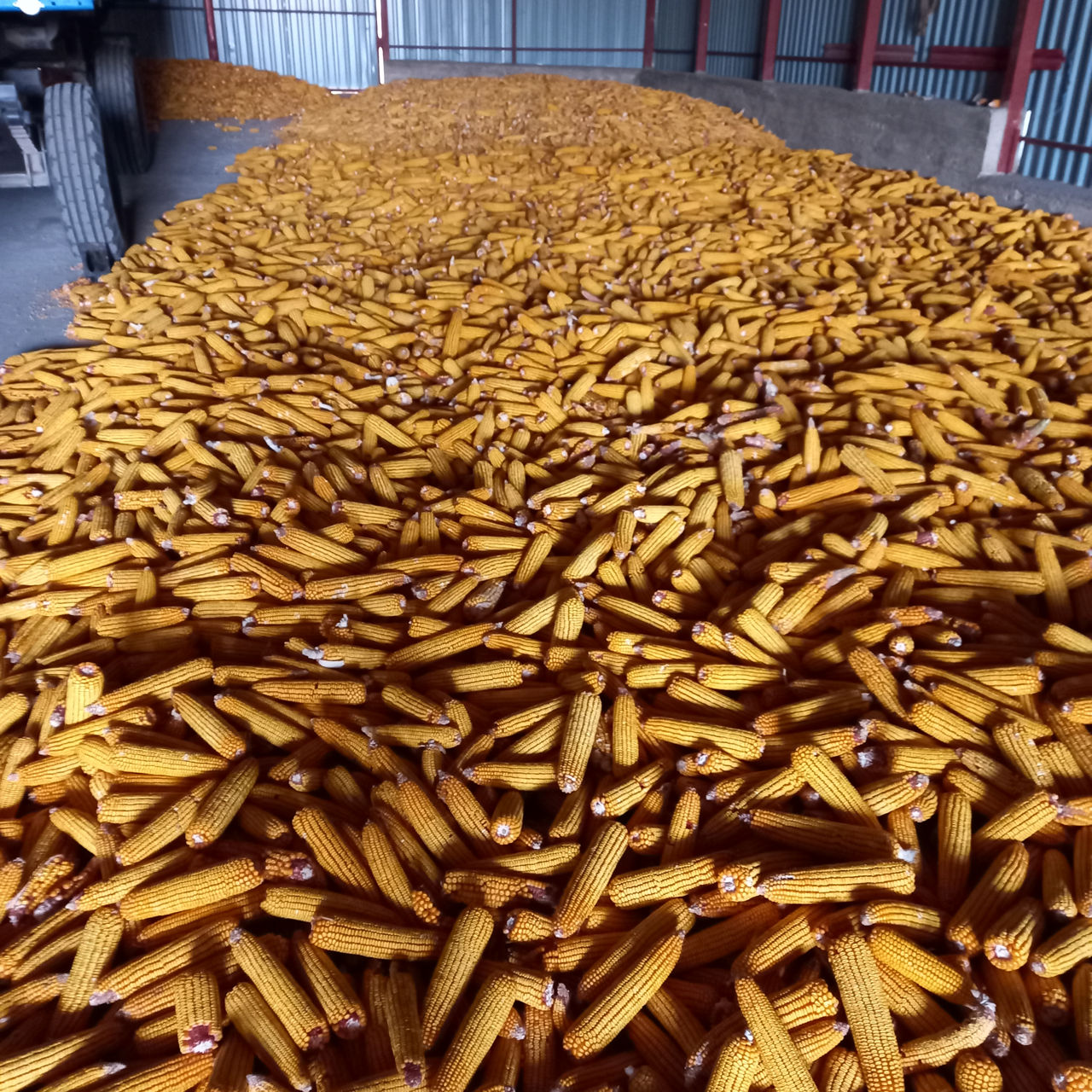 Graunte acum batute din ciocalau puse in saci