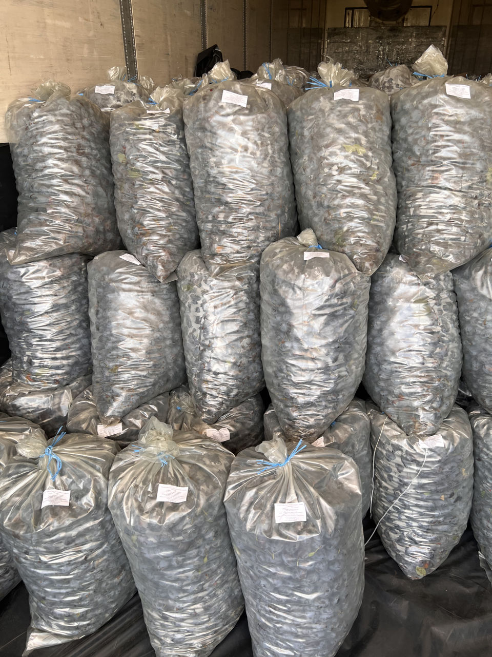 Cumpar prune la tuica