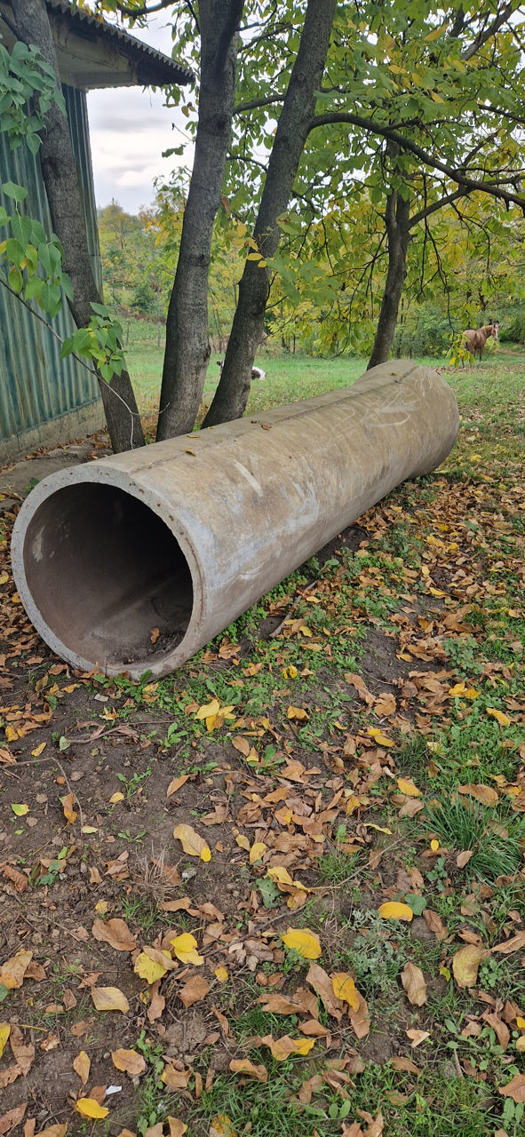 Tub de beton