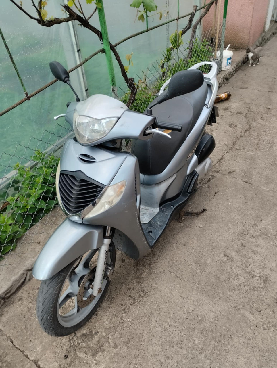Honda SH