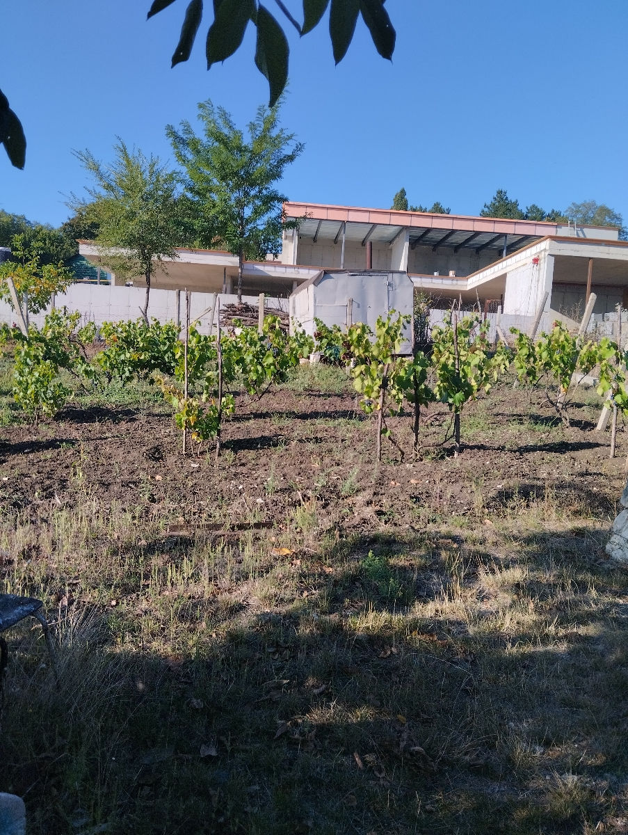 Str. Grenoble 10 Ari pentru constructie , or. Codru zona intravelana