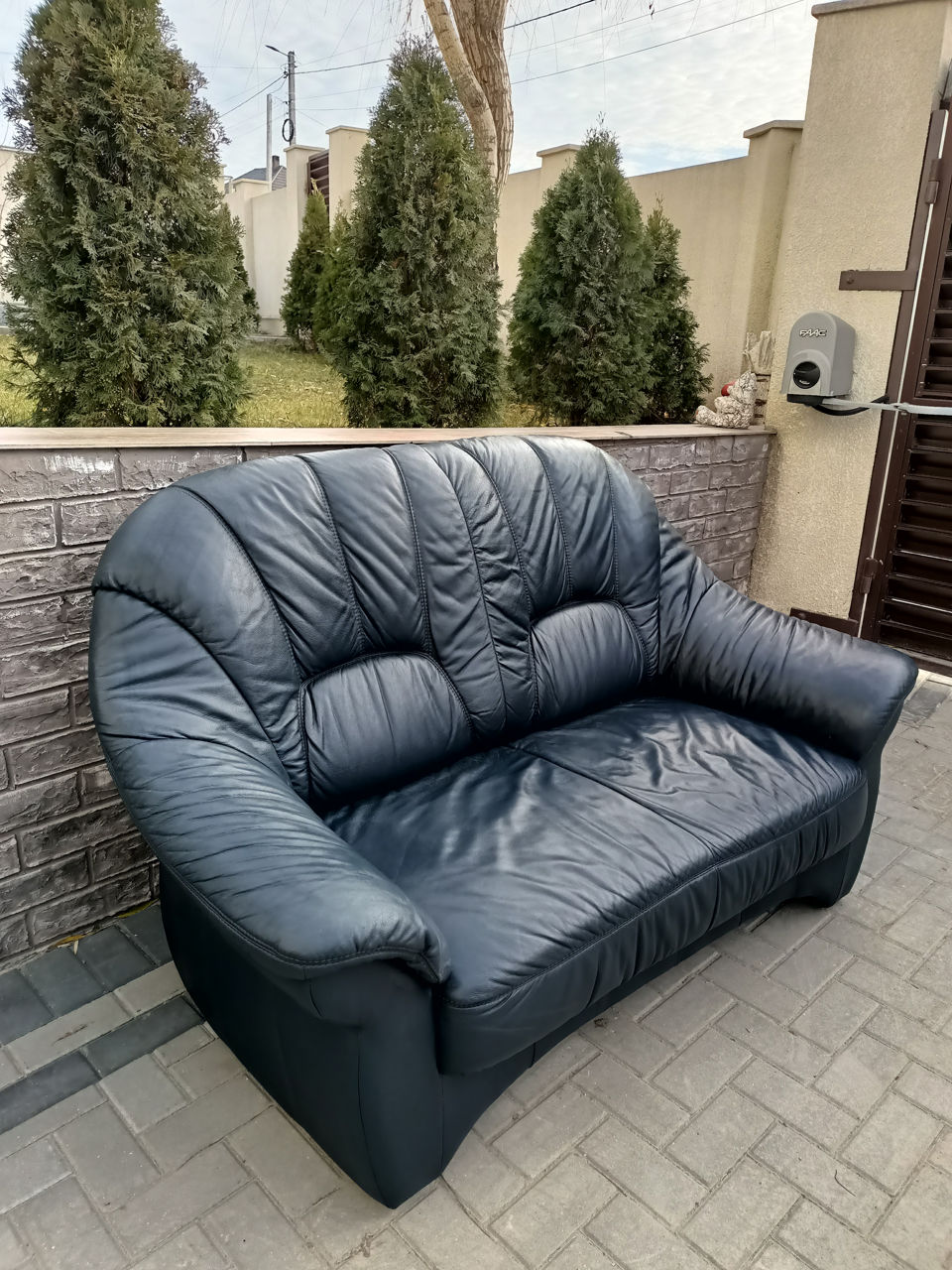 Canapea din piele naturala de 2locuri