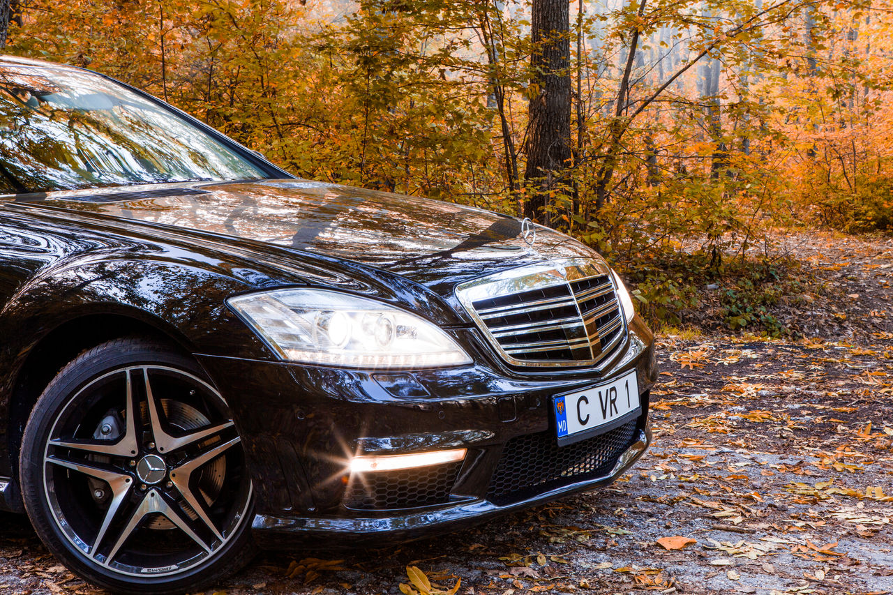 VIP Mercedes-Benz S class