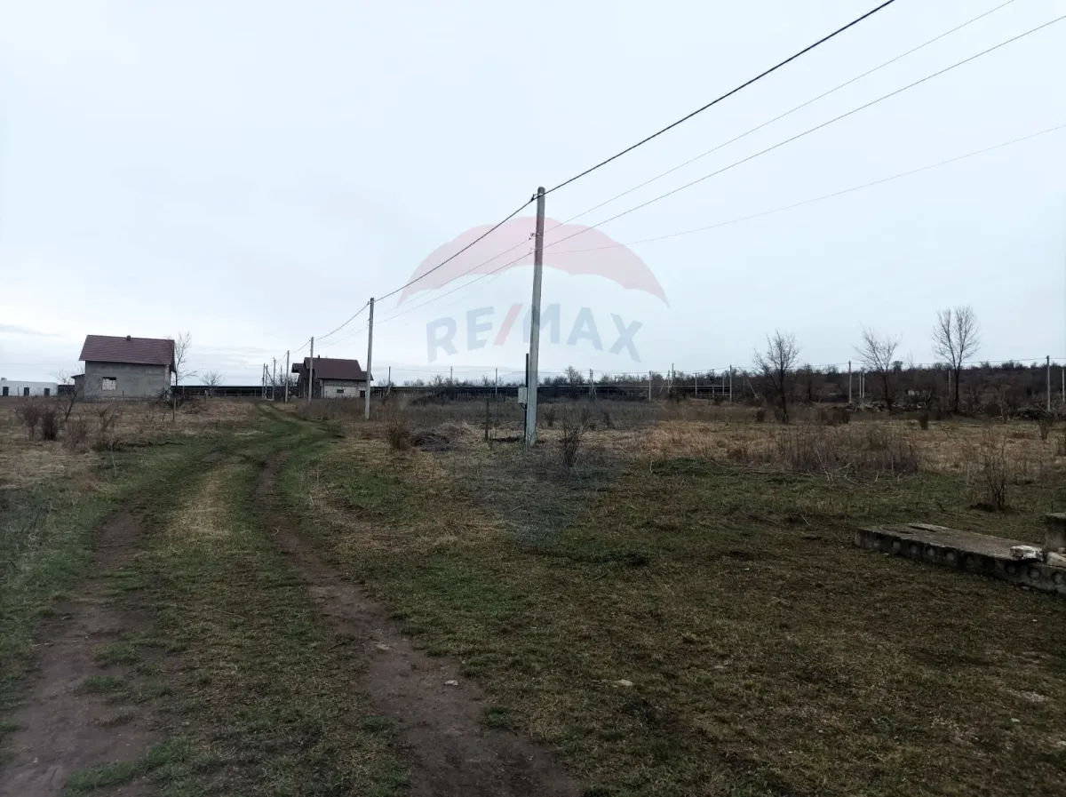 Oportunitate Excelenta în Anenii Noi, lot de constructie-7 Ari