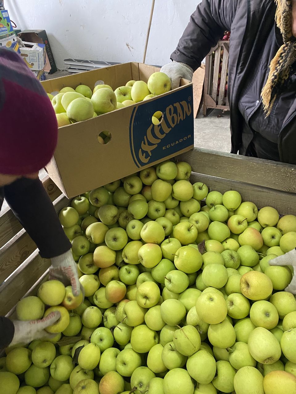 Mere Golden la Bus - frigider