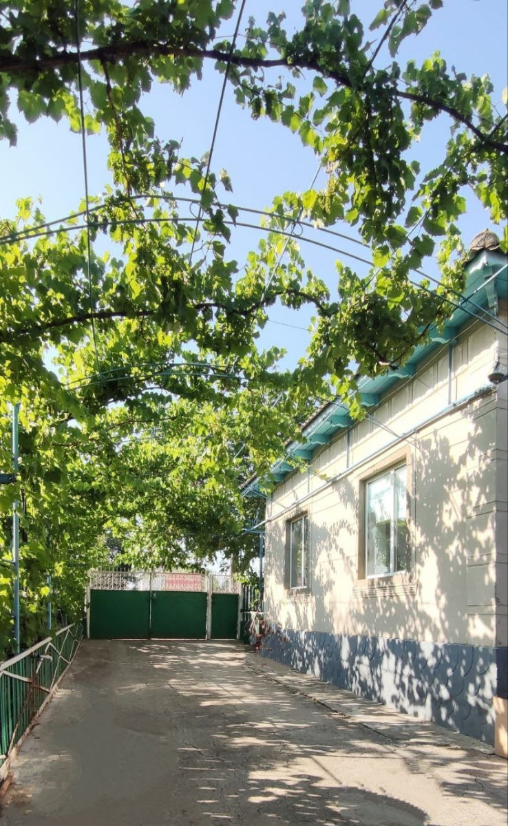 Продается дом в городе Чадыр Лунга