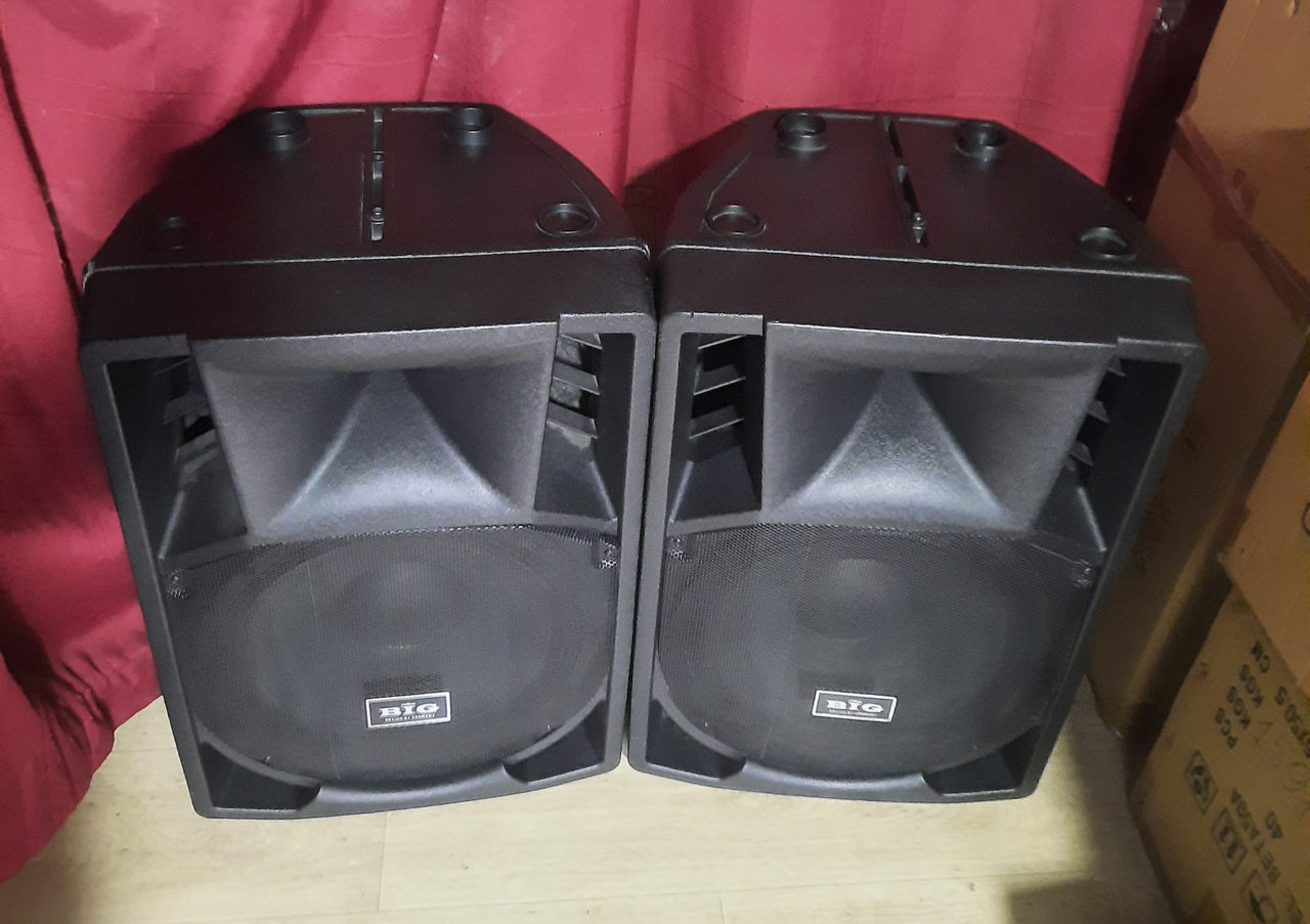 Boxe active 15 diumi 1000 w 400 euro perechea