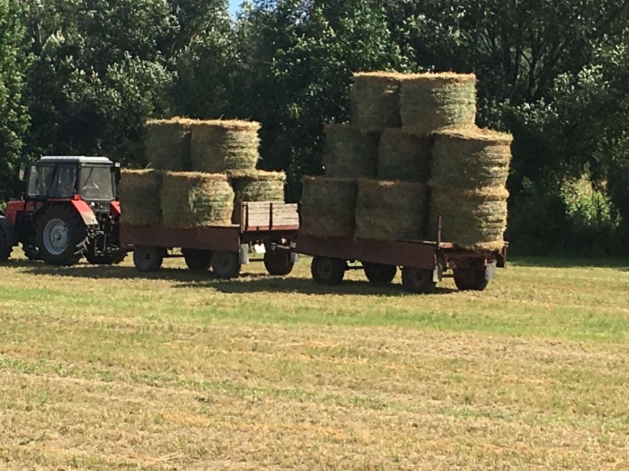 Vind lucerna baloti roada 2022