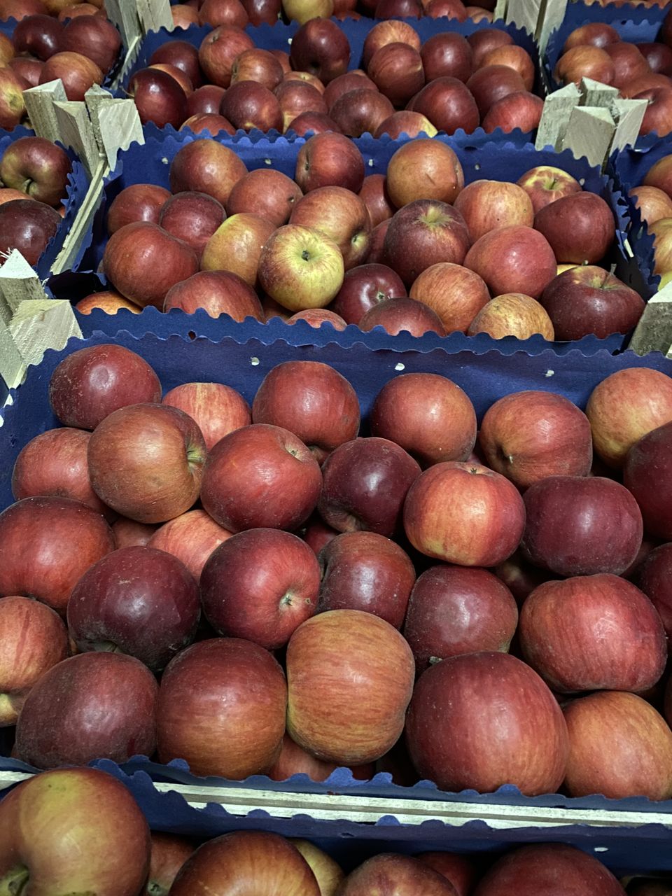 Mere Idared/Яблоки Айдаред