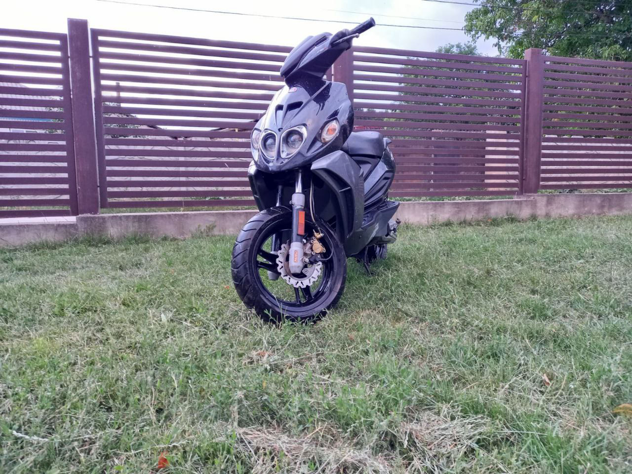 Malaguti Malaguti F12R