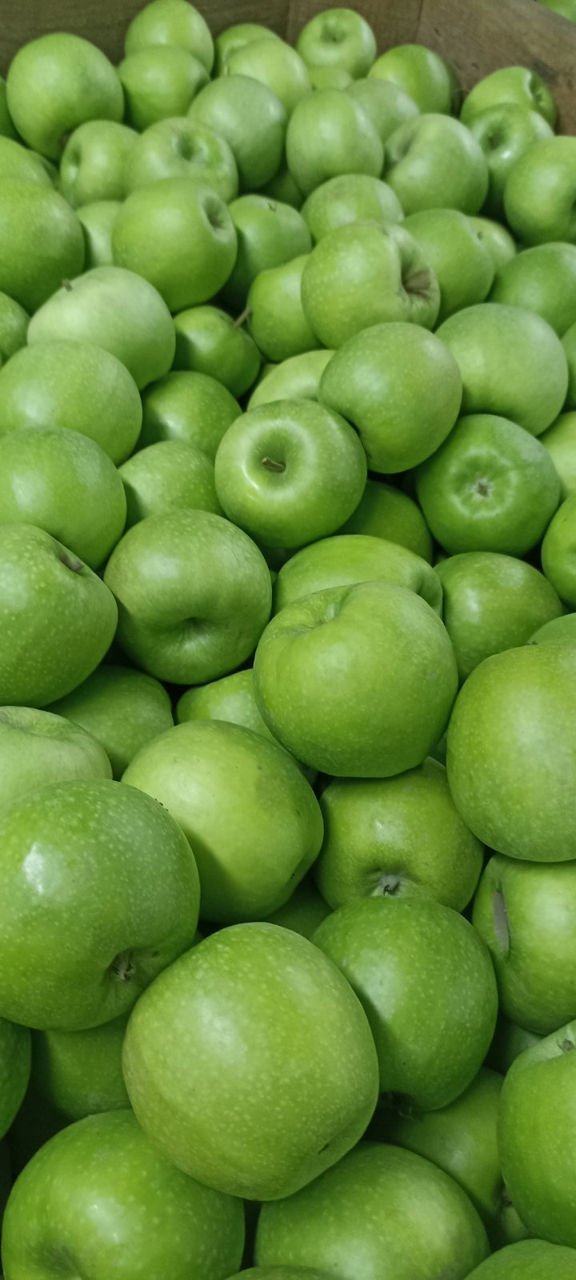 Vindem mere direct de la producator "Granny Smith"-127t,"Bonita"-77t, "Red Velox"-60t